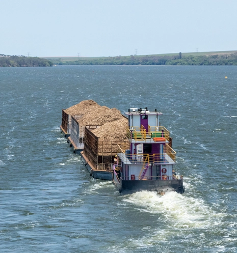 Seashell Group – India’s Leading Freight Forwarding, Customs broker ...