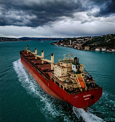 NVOCC Services (Non-Vessel Operating Common Carrier)