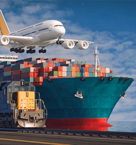 Seashell Group – India’s Leading Freight Forwarding, Customs broker ...